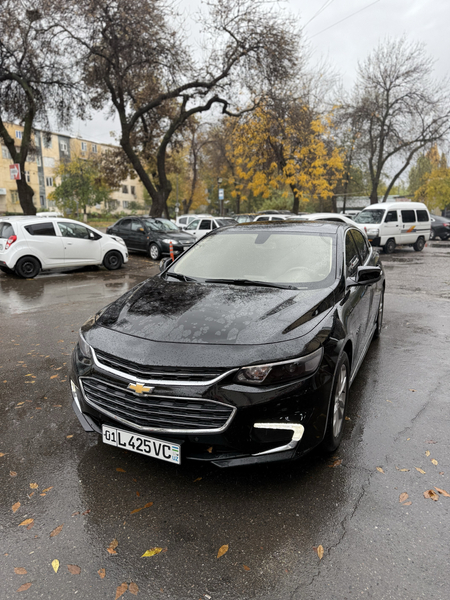 Arenda Malibu 2.4