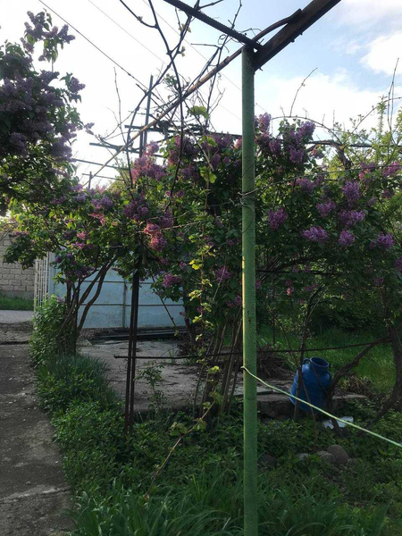 Дачный участок. ЧИРЧИК, Аранча, Военный Городок