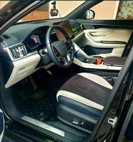 BYD CHEMPION 605 KM. 2023.