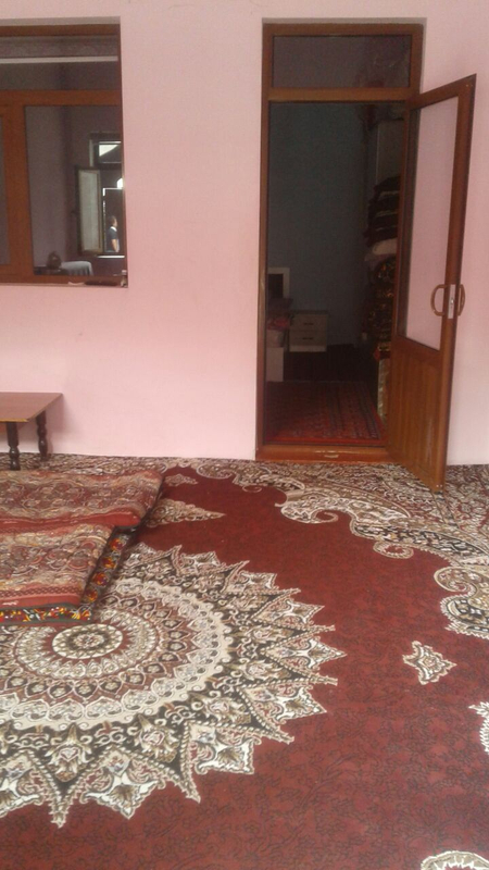 Toshken tumani koʻk terak