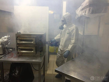 Холодный туман + опрыскивание от тараканов и клопов.