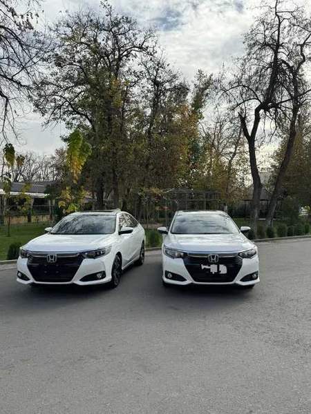 Honda Crider bolib tolashga halol nasiyaga