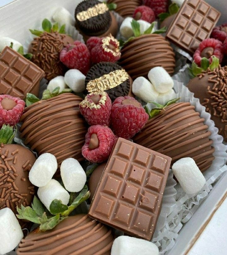 Chokoberry chokobukvayaqinlaringizning quvonchi uchun