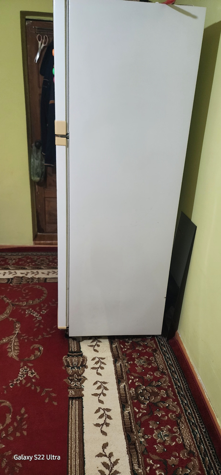Продаю сваю халоденик