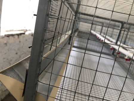 Jo'jalar VA broller tovuqlar uchun qafas