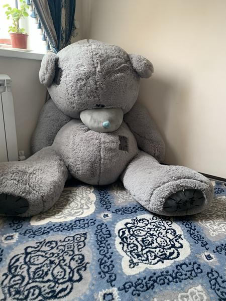 Teddy Ayiqcha Sovg’a uchun