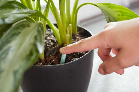 Удобрения для цветущих и лиственных цветов Miracle-Gro