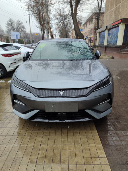 Byd song L 2024.