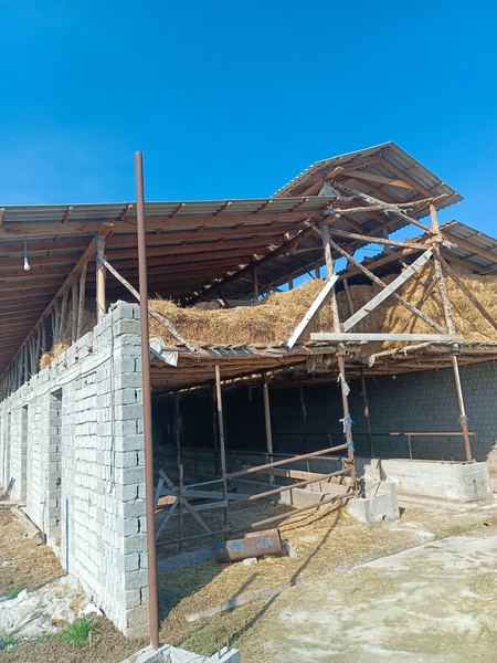 Noturar ferma 30 sotix yangiyul tumani Mihayolvkada 200 ta mol ketadi