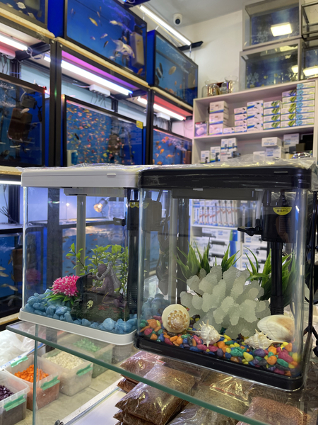 Akvarium  har xil Akvarium