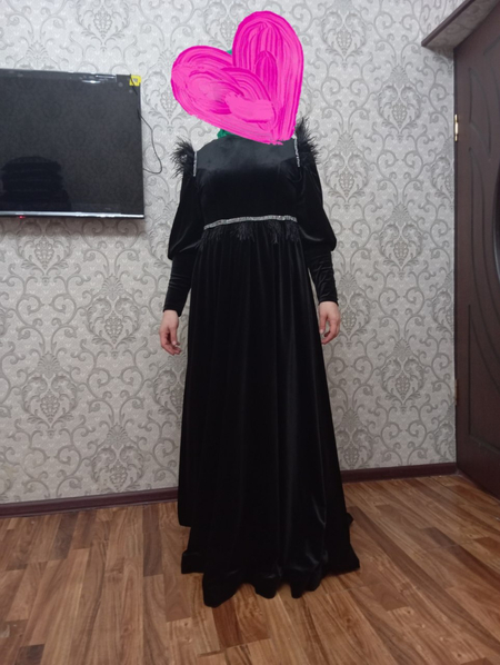 Койлак вечирний шлефтли