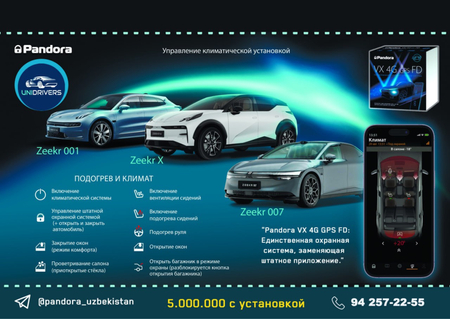 Pandora Акция