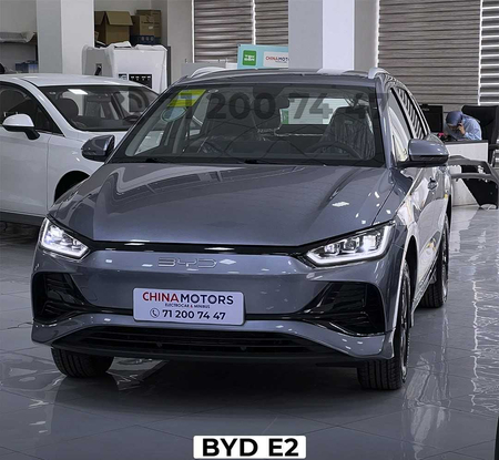 BYD E2 1 kunda ega buling