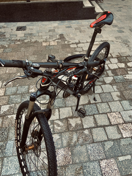 Gmindi power snow G-01 bike
