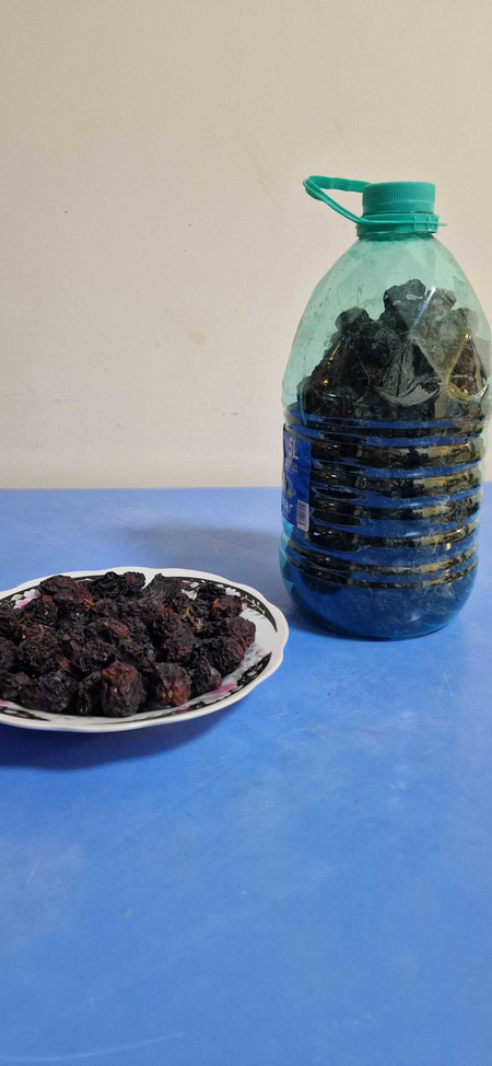 Oliqoqi (quritilgan)