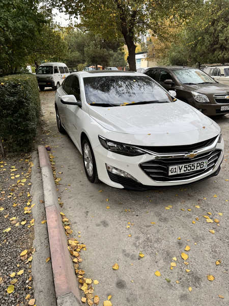 Malibu 2,4  atmasferni 555