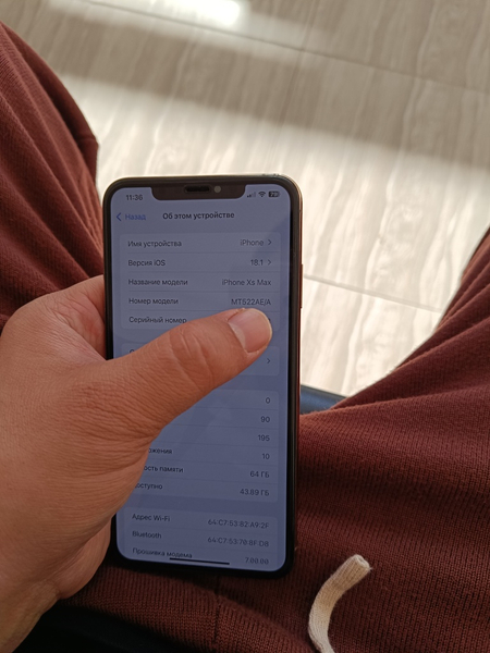 Xs max gold 64 gold