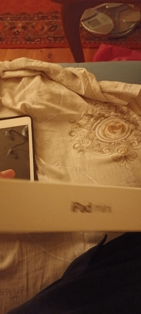 ipad mini есть маленькая трещина