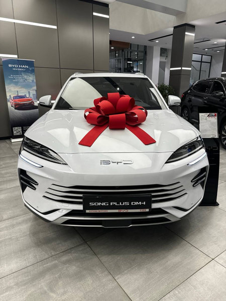 Byd Champion Elektro va Gibrid