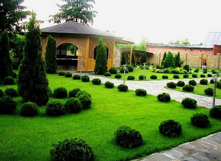 Landshaft dezayin ishlari