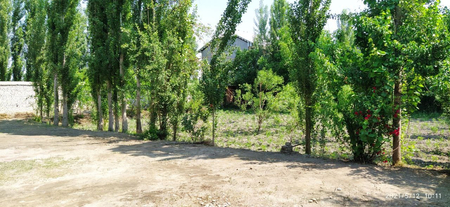 Hovli sotiladi 13 sotix