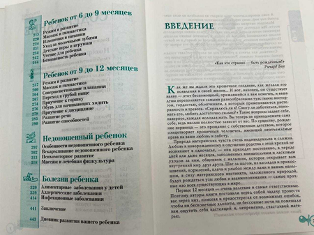 Книга Ежедневник молодой матери