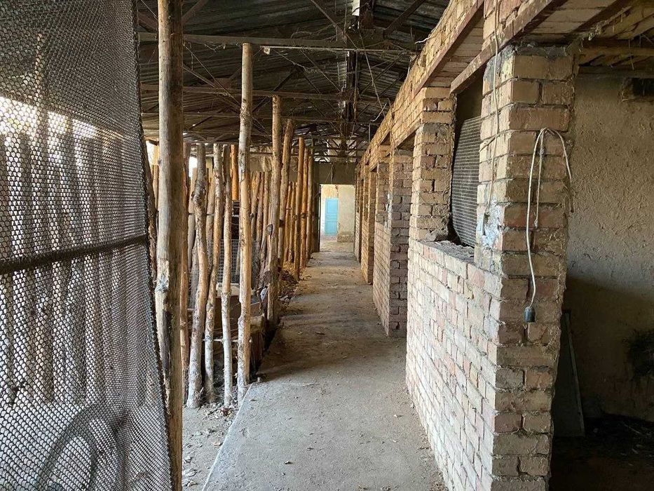 Продается участок 20 сотка в Ийк-Ота (кадастр есть)