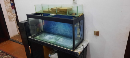 Akvarium 200 litrlik ustinde samp filtr bar razmeri 1metr