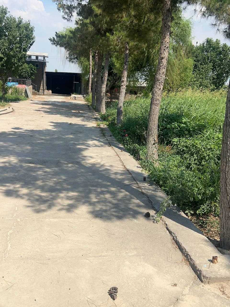 Продаётся шикарный участок с готовым бизнесом. Пскент. ID: OY 471