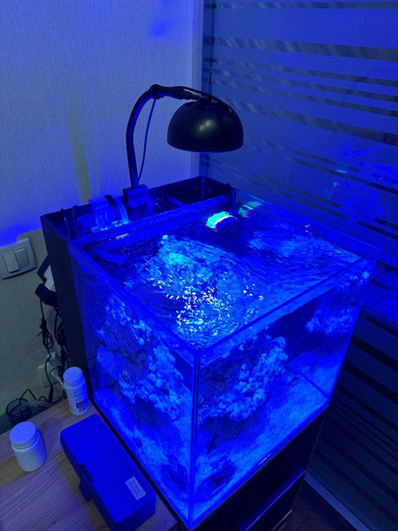 Морской аквариум | Morskoy akvarium | Dengiz akvariumi | Корал