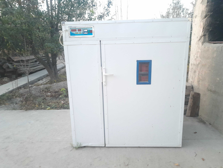 Inkubator 1100 talik avtomatik ishlaydi