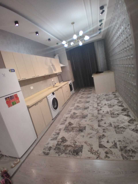 Дархан 5/0-1/6 Дуплекс 210кв м
