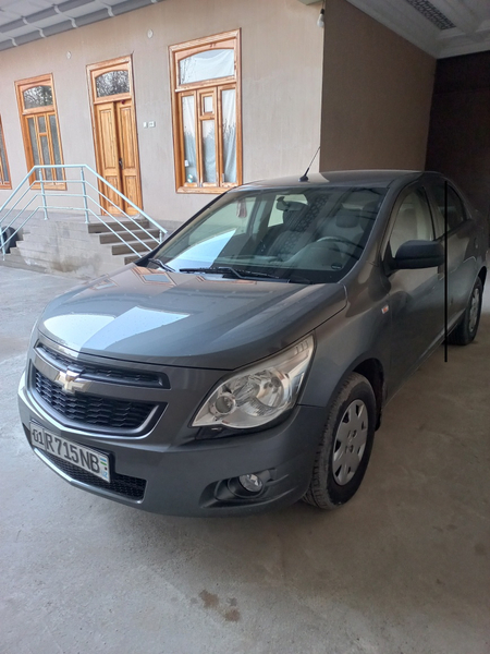 Cobilt 2014 paditsa 1