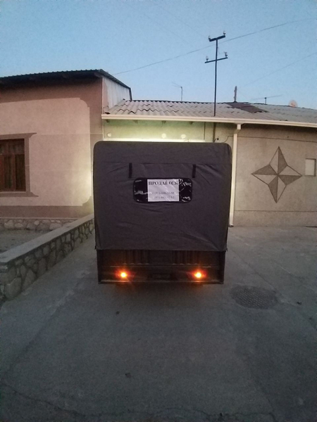 Muravey tentoviy.
