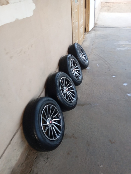 Vossen diska balon 13