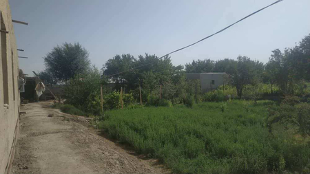 Buxoro vilayati vobkent tumanida 12 sotixli uchastka sotiladi