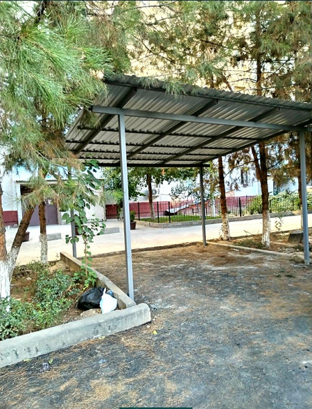 Rshotka naves perilla