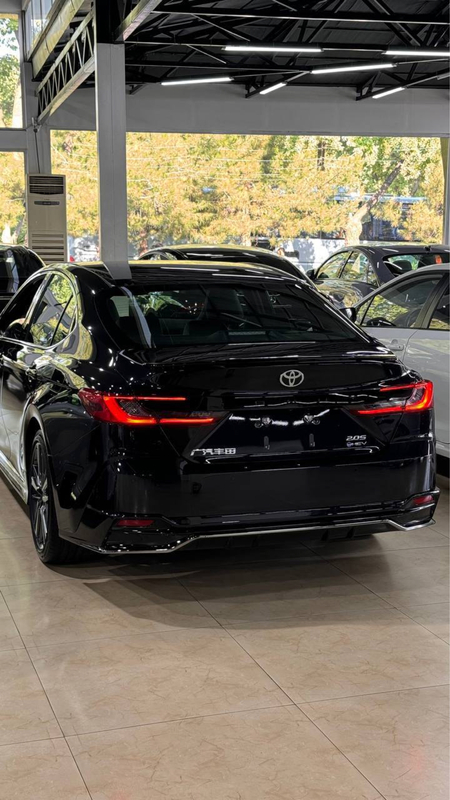 Toyota Camry 80 (Hybrid)