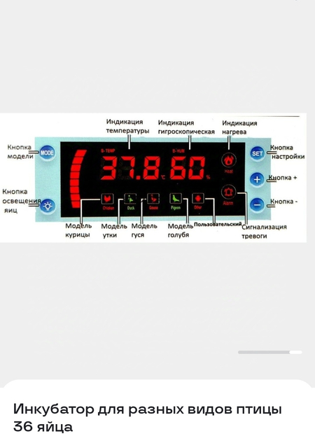 Инкубатор 36 сотилади!
