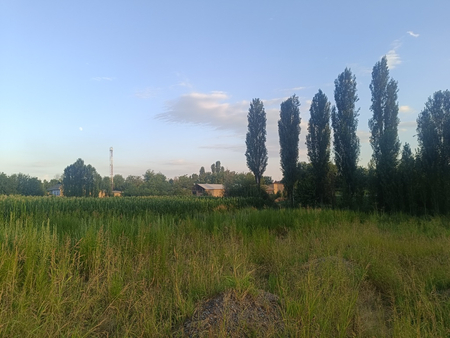 Toshkent vil Yangiyol tumani ittifoq mahallasi