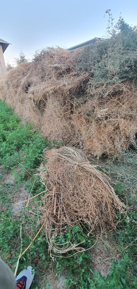Beda sotiladi qurigan zur