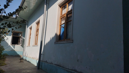 Sebzordan xovli 2,3 xamma sharoiti bilan sotiladi
