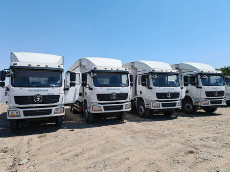 SHACMAN shtorka L 3000