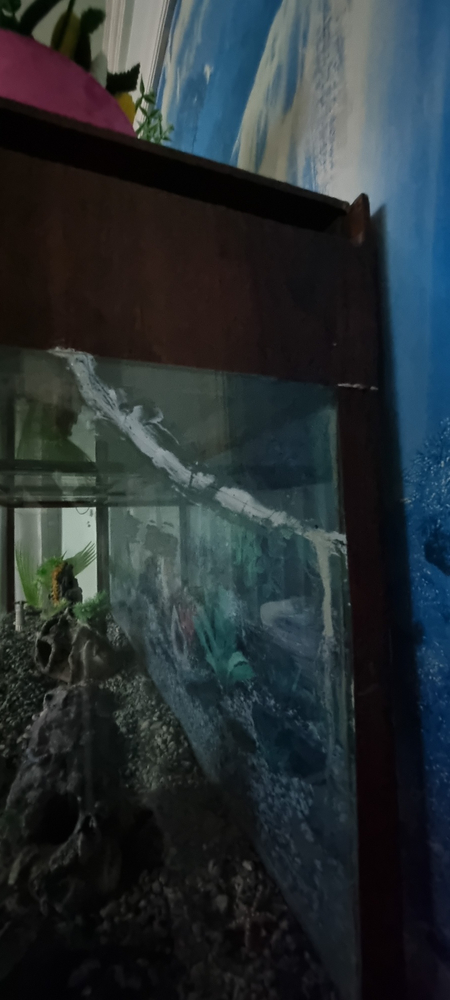 Akvarium 500 litrli