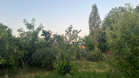 Янгибозор 6 соту Ер сотилвоти сотиги (12000 Участок ) (161651)