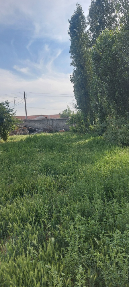 Продаётся участок в Барданкуле