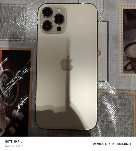 iPhone 12 pro max
