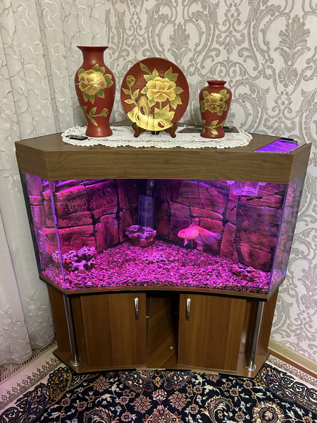 Угловой аквариум с тумбочкой