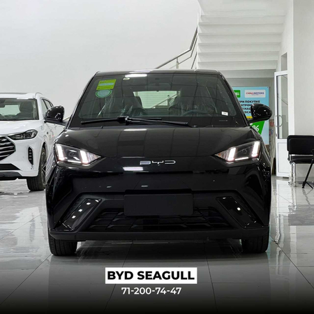 BYD SEAGUL arzon narxda va garantiya bilan birga sotib oling