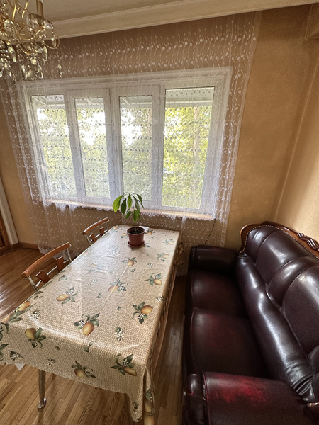 Квартира в центре, парк Голубые купола